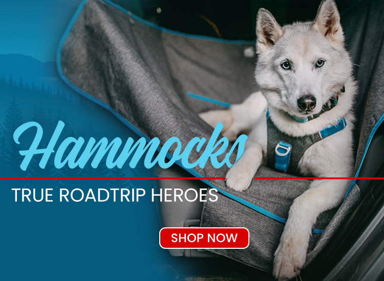 Dog Travel & Outdoor Products | Kurgo Australia & New Zealand