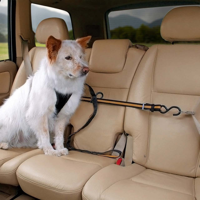 Auto Zip Line Dog Car Tether | Kurgo®